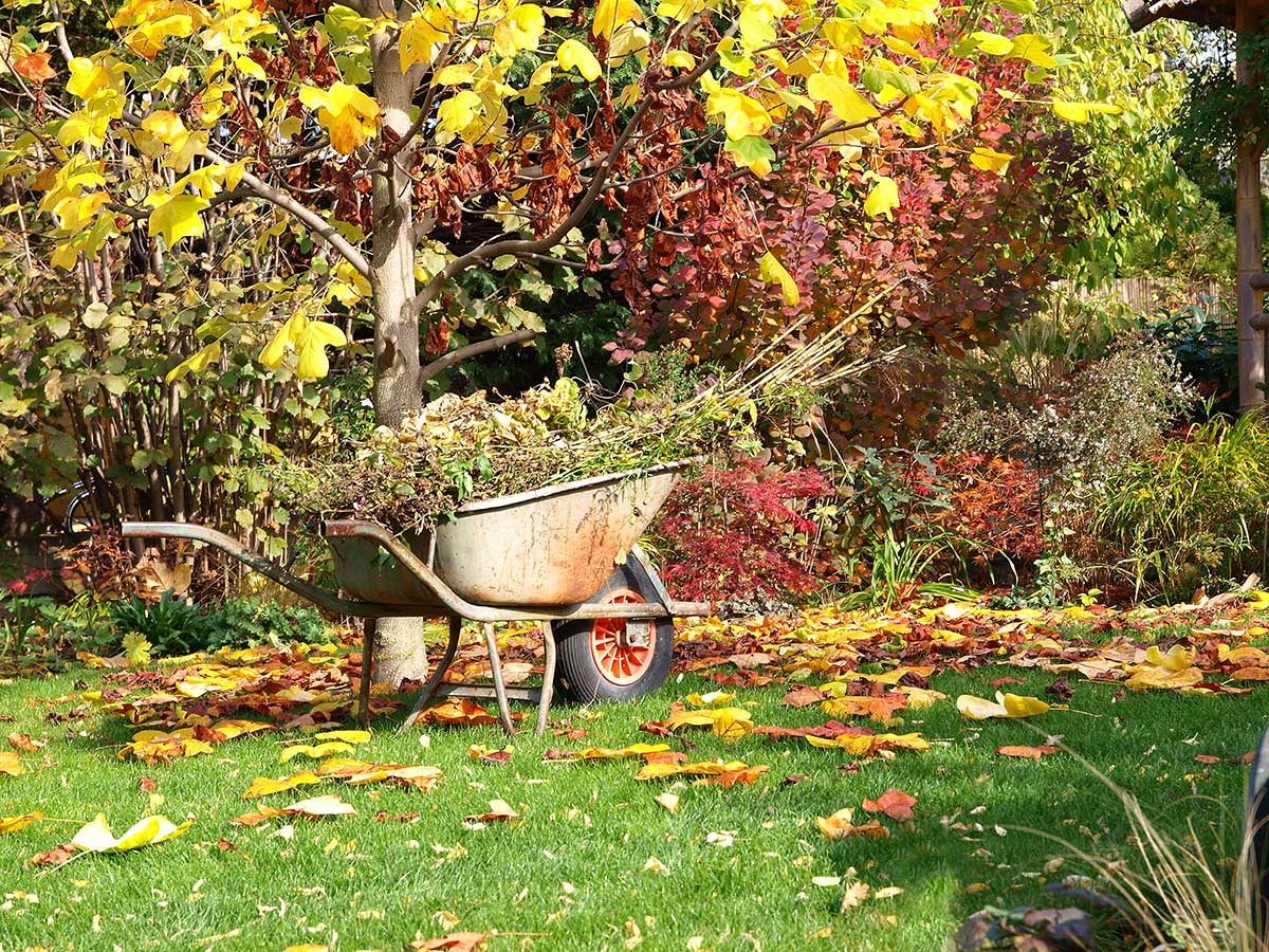 6 Gardening Tasks to Prepare for Autumn | Endeavour Homes